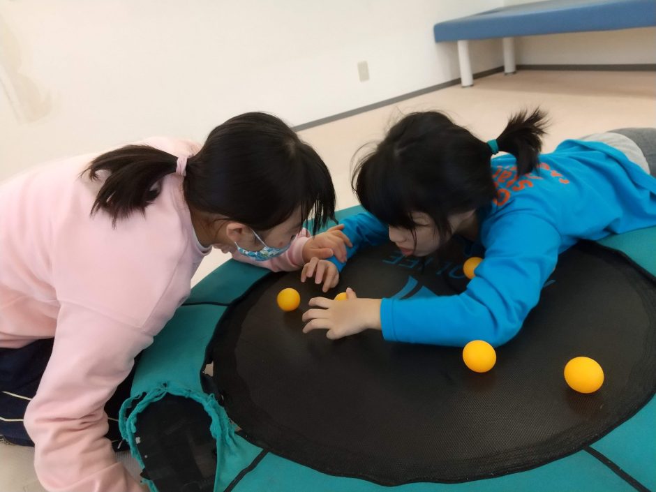 11月写真館☺（新所沢No.78） - オハナピース